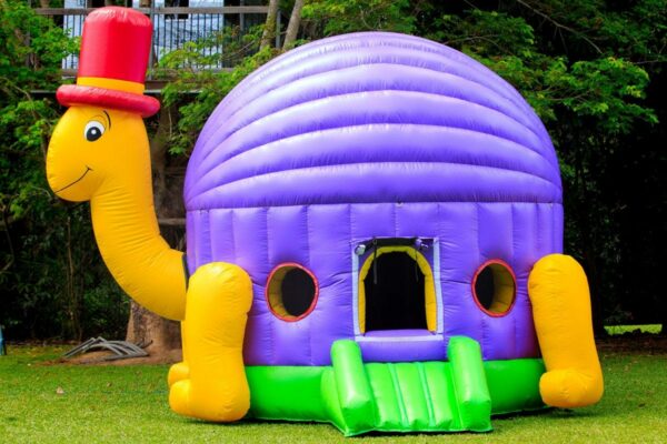 Disney Princess Jumping Castle | Jumping Jims